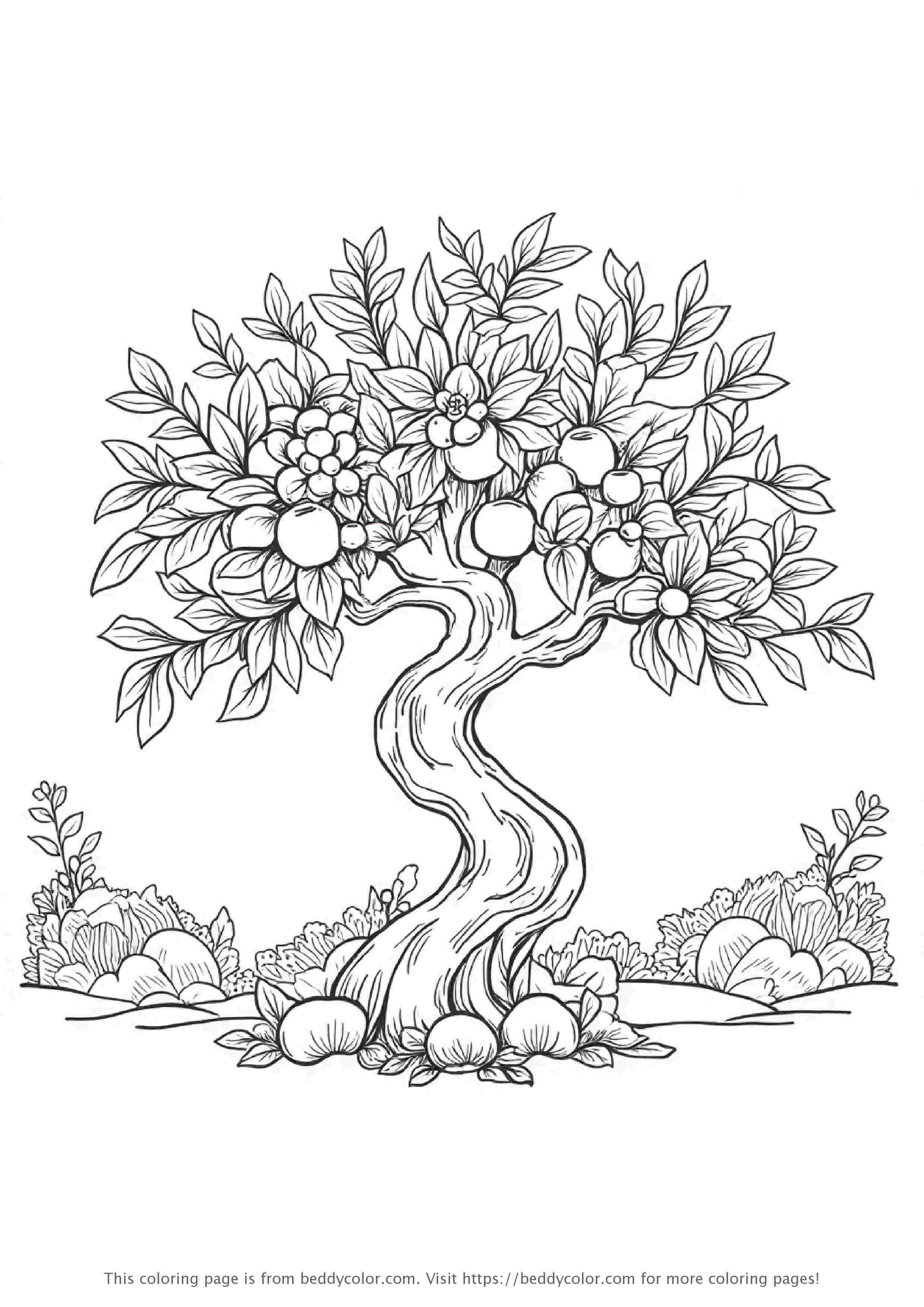 Spring Festival Coloring Pages - BeddyColor