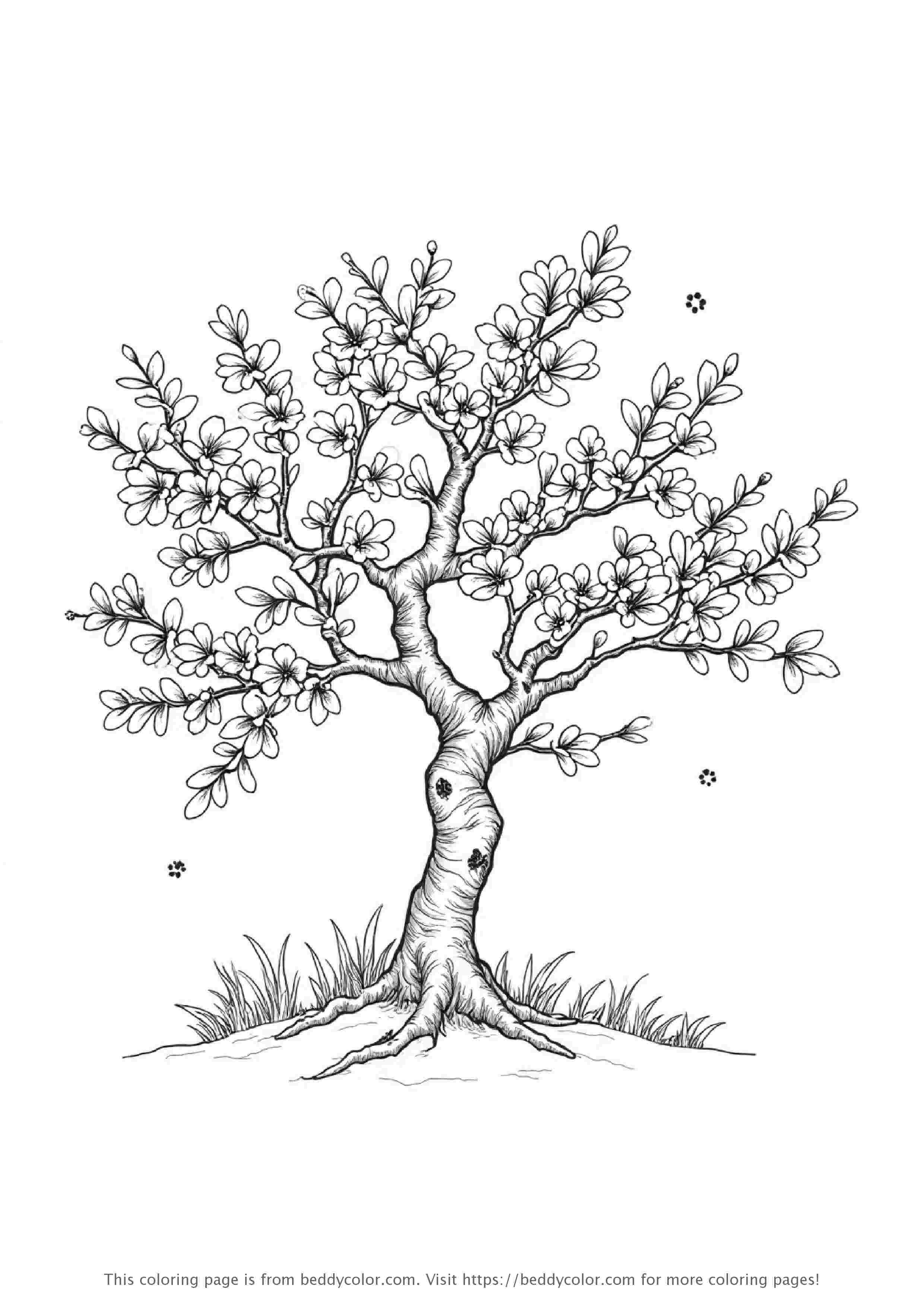 Spring Festival Coloring Pages - BeddyColor